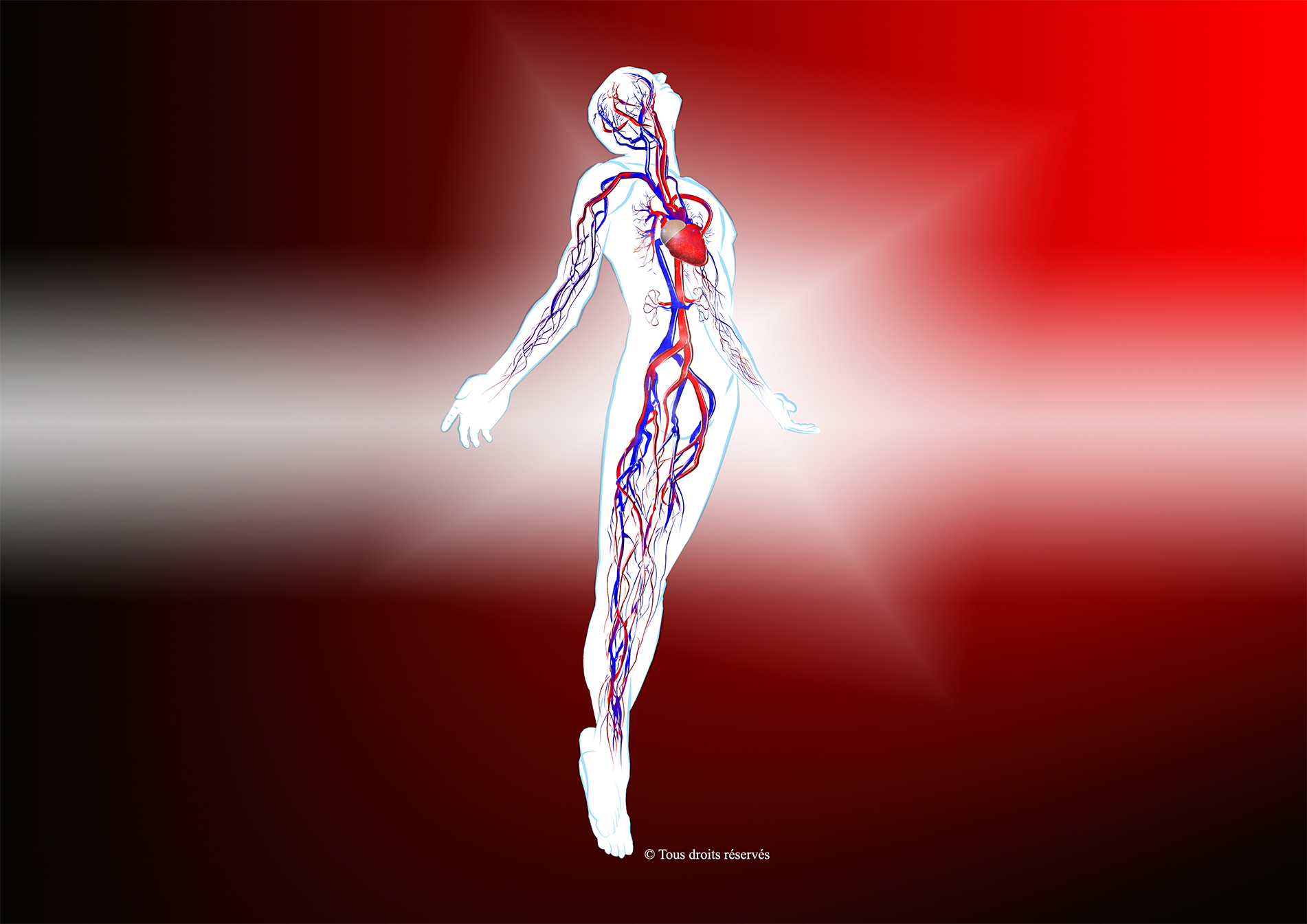 Vasculaire - Centre Hospitalier de Bourg-en-Bresse